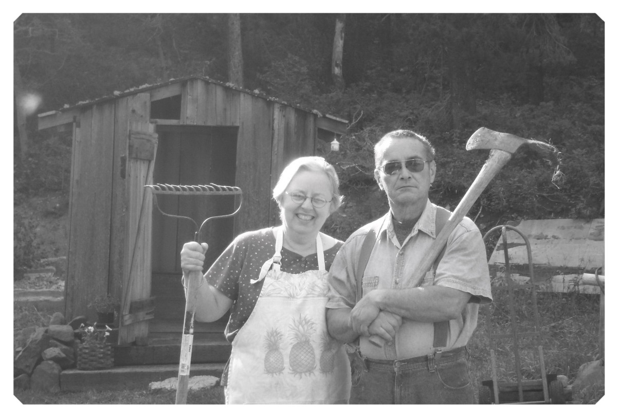 A Schauf Family Tradition | Bison Creek Ranch